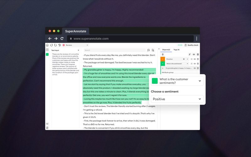 Text annotation for machine learning [Updated 2023] | SuperAnnotate